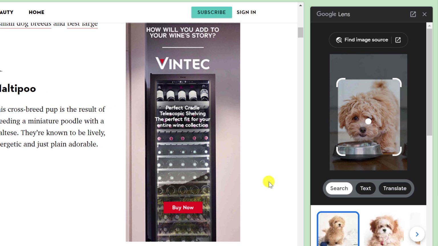 How To Search An Image on Google (Desktop & Mobile)