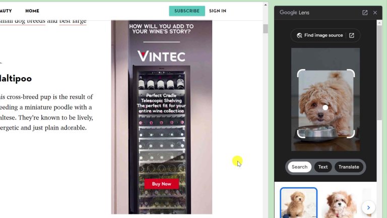 How To Search An Image on Google (Desktop & Mobile)