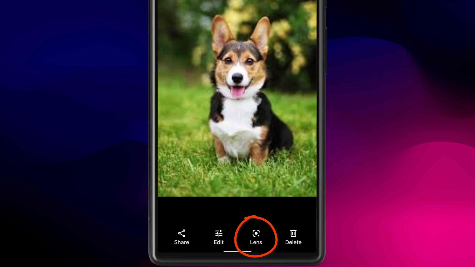 How To Search An Image on Google (Desktop & Mobile)